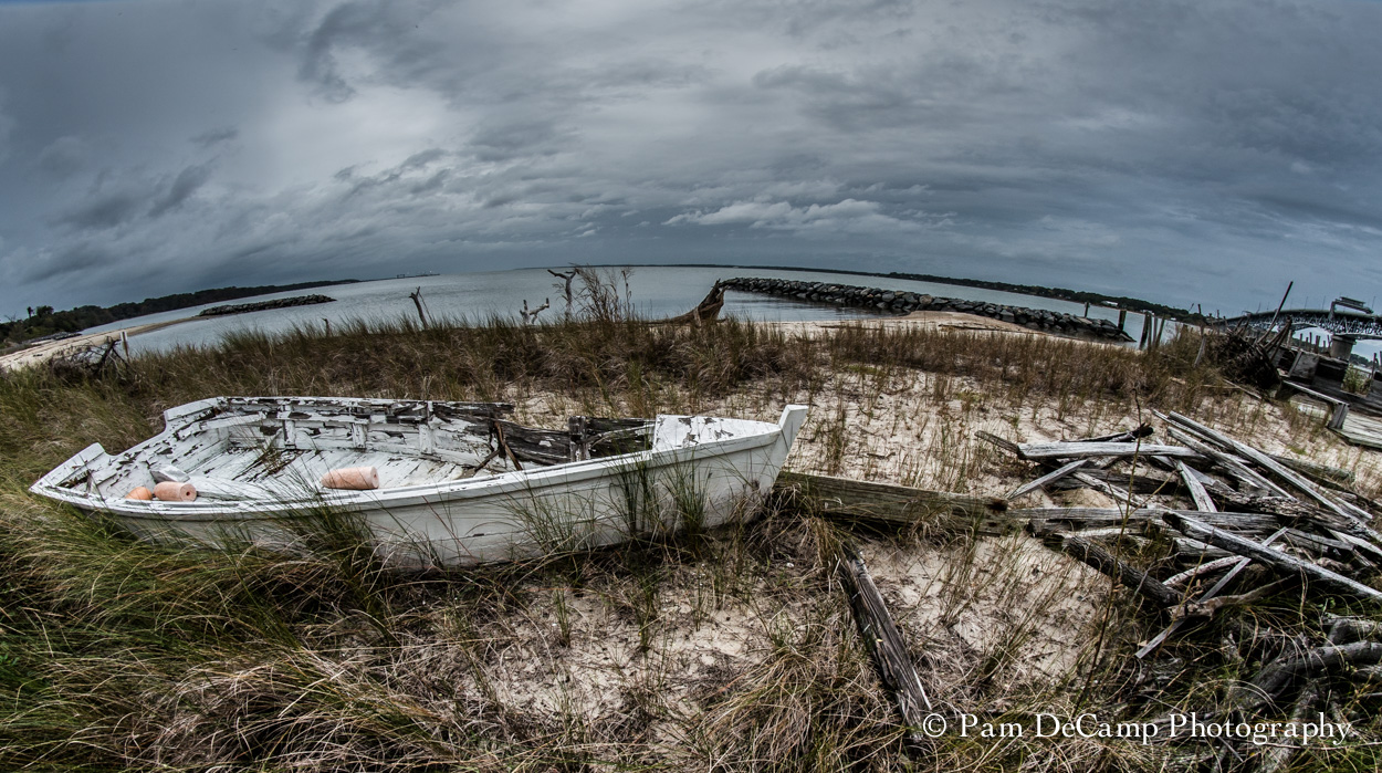 PDC_0944 | Pam DeCamp Photography