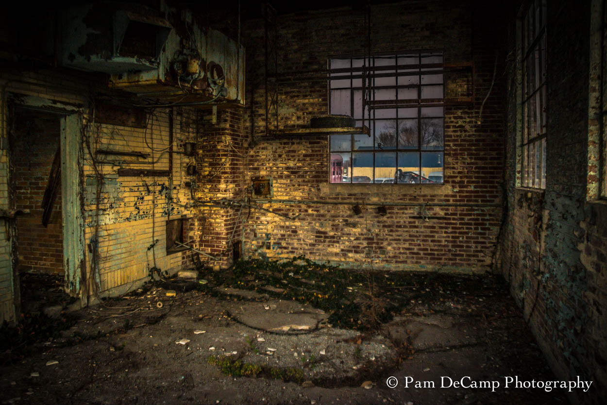 PDC_3171 | Pam DeCamp Photography