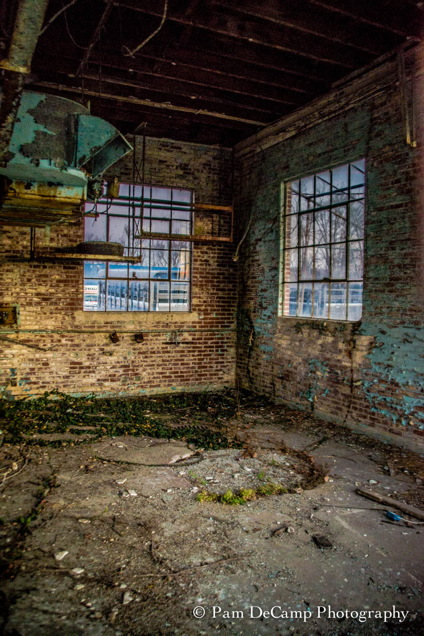 PDC_3174 | Pam DeCamp Photography