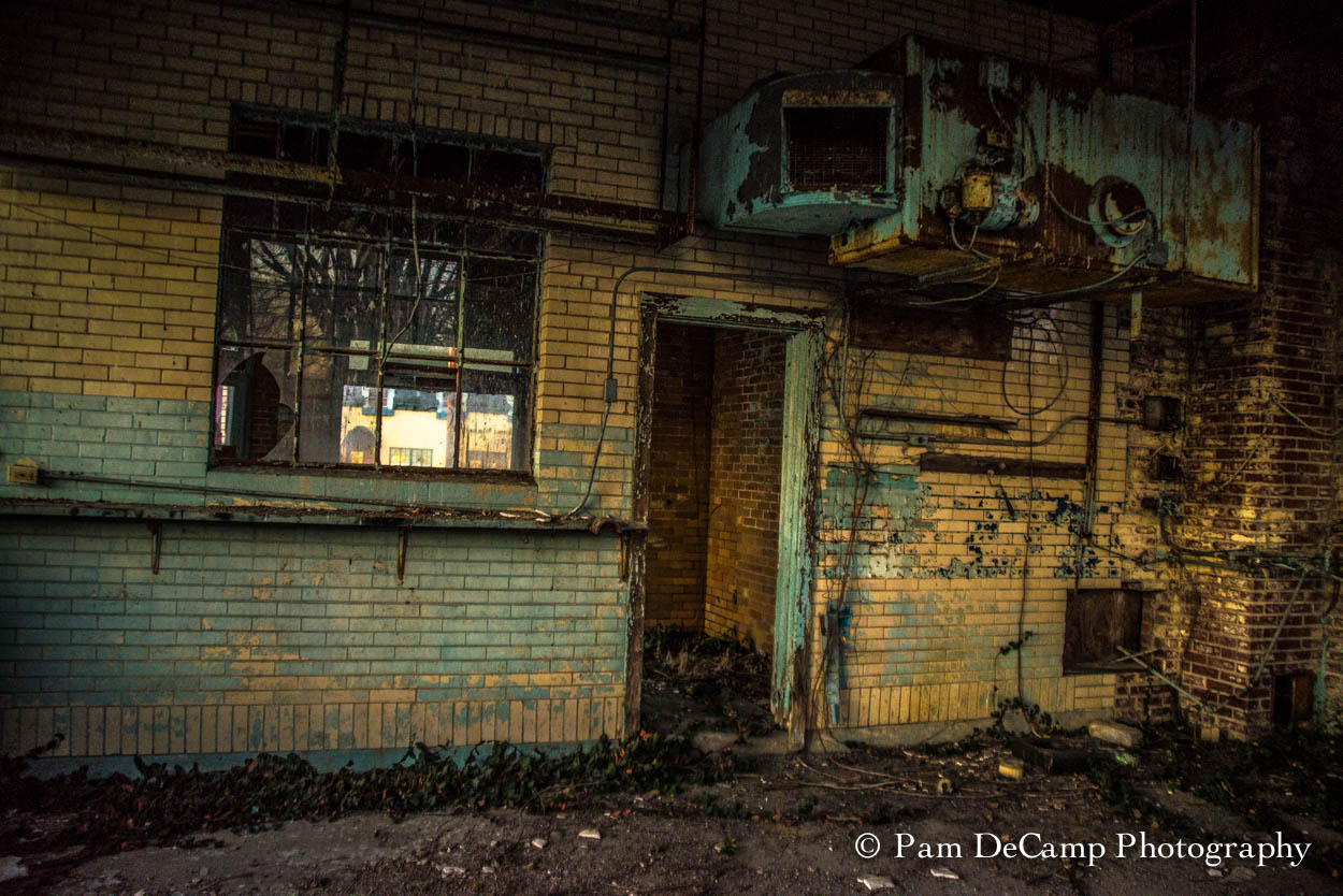 PDC_3175 | Pam DeCamp Photography